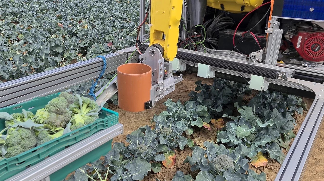 RoboVeg unveils autonomous broccoli harvester - World Agritech