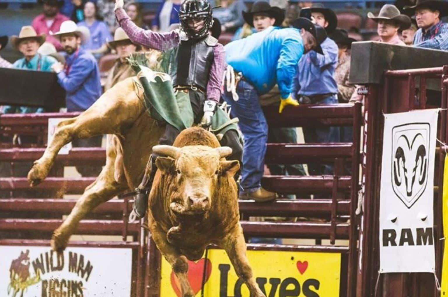 Reno Rodeo “Sowing Good Deeds” winner MF - World Agritech