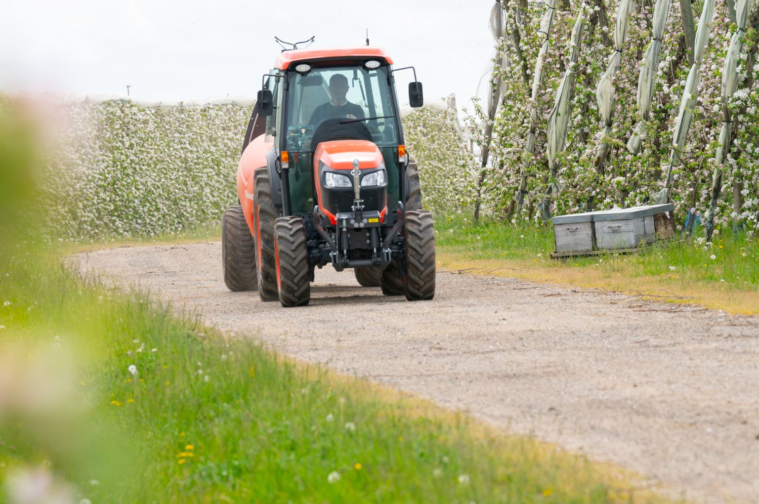 Kubota and Agri Sud-Ouest cooperate - World Agritech